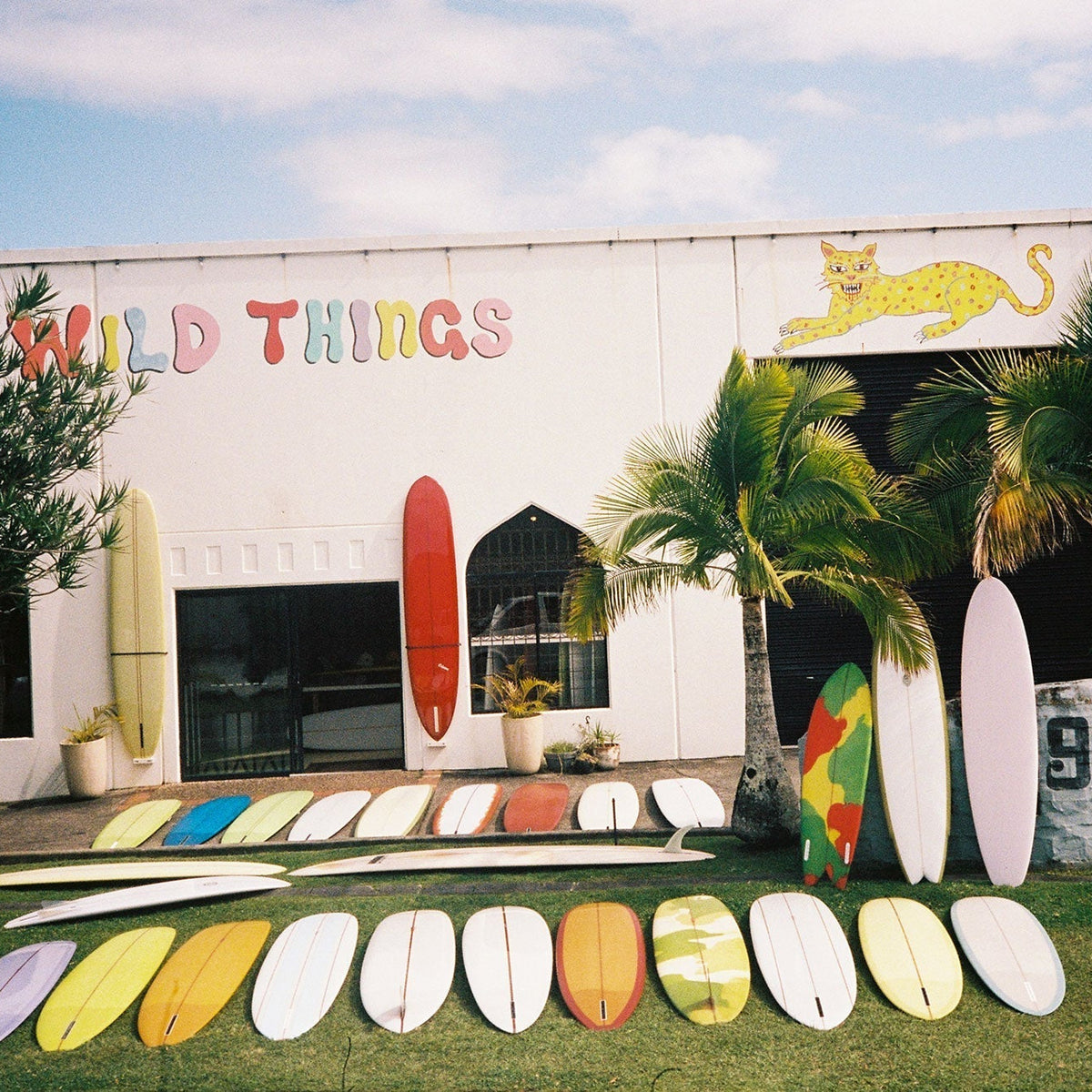Wild Things Fins & Surf Gear | US Stockist – Byron Bay Brand – Pemulis ...